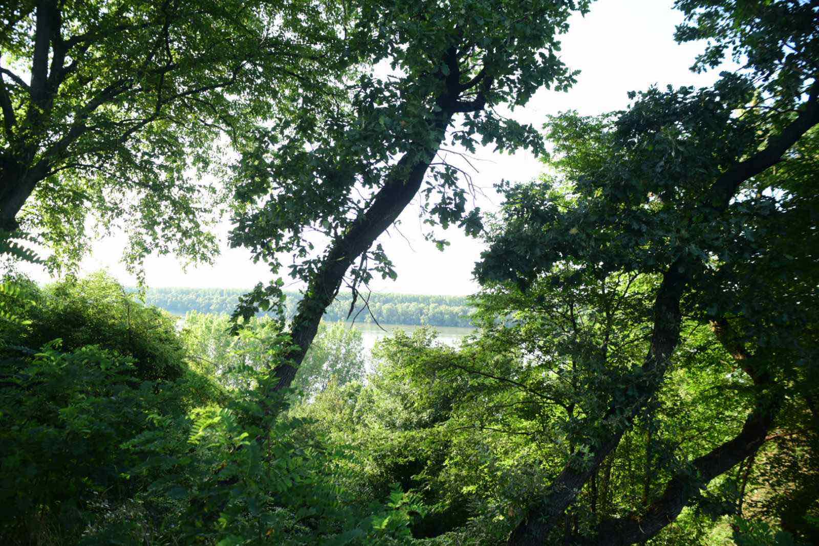House with a view of the Danube and land of 30 ares (Serbia, Belgrade ...