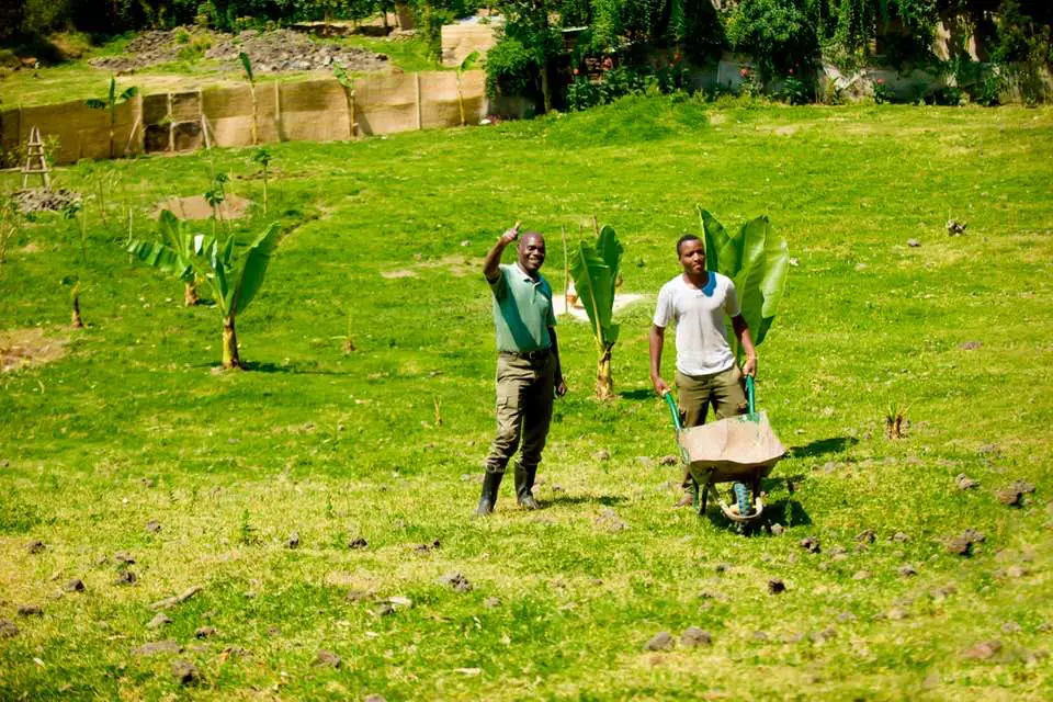 1.75 GORGEOUS ACRES IN KINIGI RWANDA (Rwanda, Ruhengeri, Kinigi ...